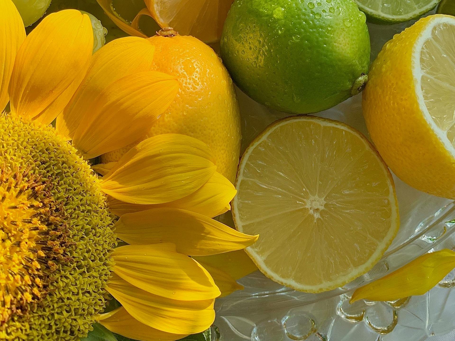 Efectos sinérgicos de las vitaminas C y E en cosmética - BTSA