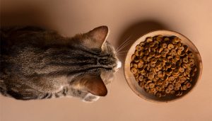 Antioxidantes Naturales N - BTSA