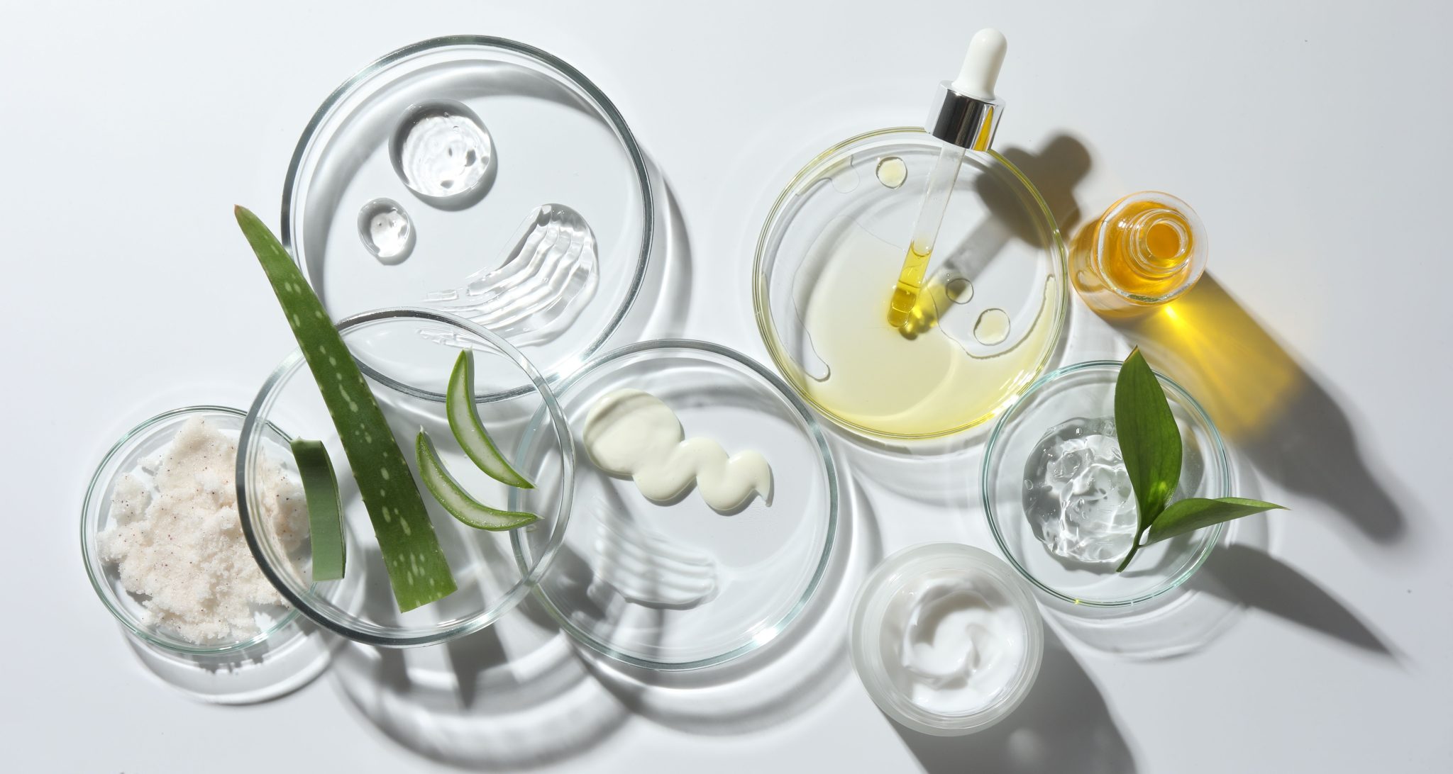 Synergistic effects of vitamin E and co-antioxidants in anti-aging ...