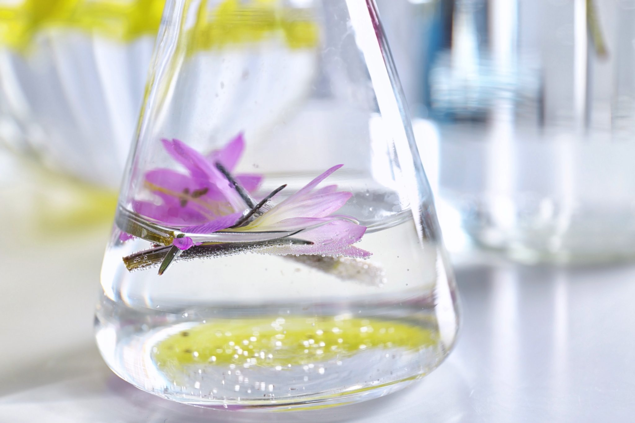 Preventing terpene oxidation in perfume formulations: natural ...